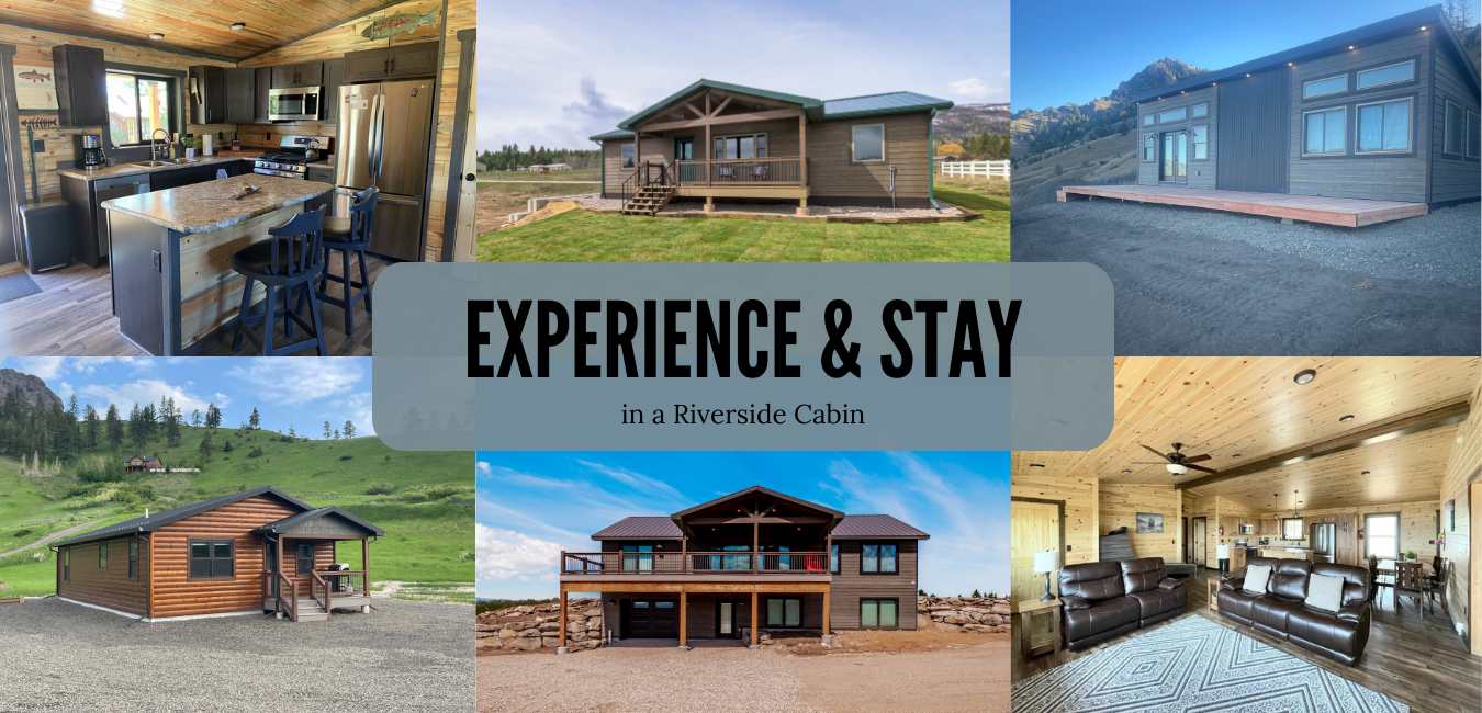 Experience and Stay in a Riverside Cabin - Riverside Cabins